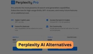 7 Best Perplexity AI Alternatives You Can Try In 2024